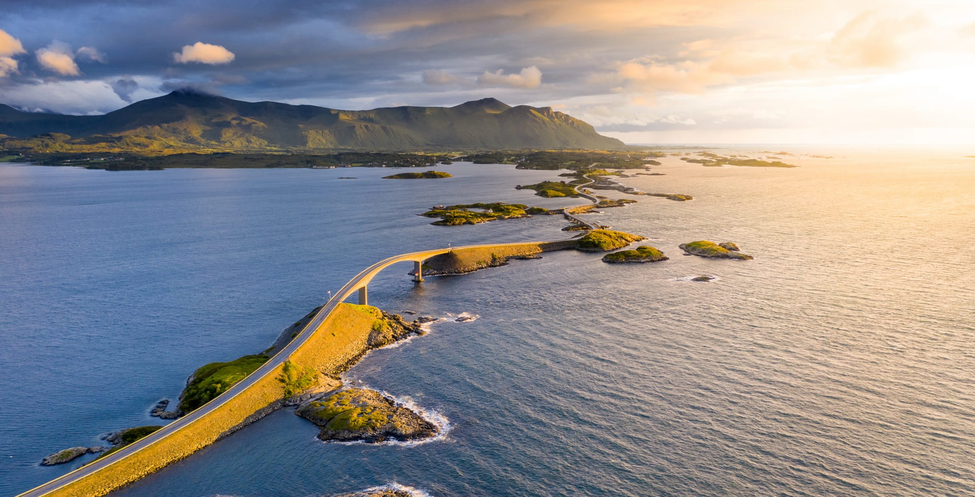 Dynamic Multi Asset Plus